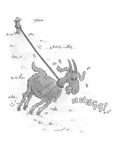 Untitled Document [www.theendofmytether.me.uk]